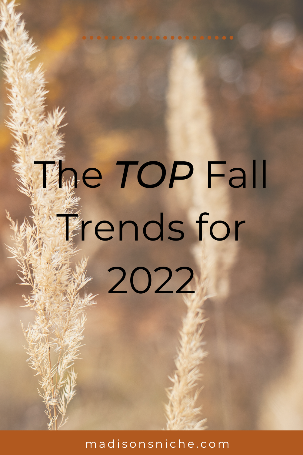 Get a Head Start on Your Fall Fashion...