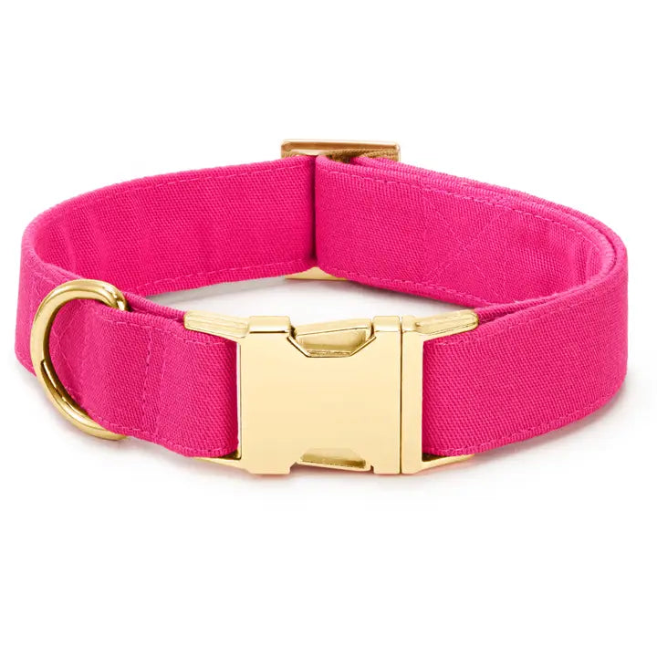 Hot Pink Collar | Madison's Niche